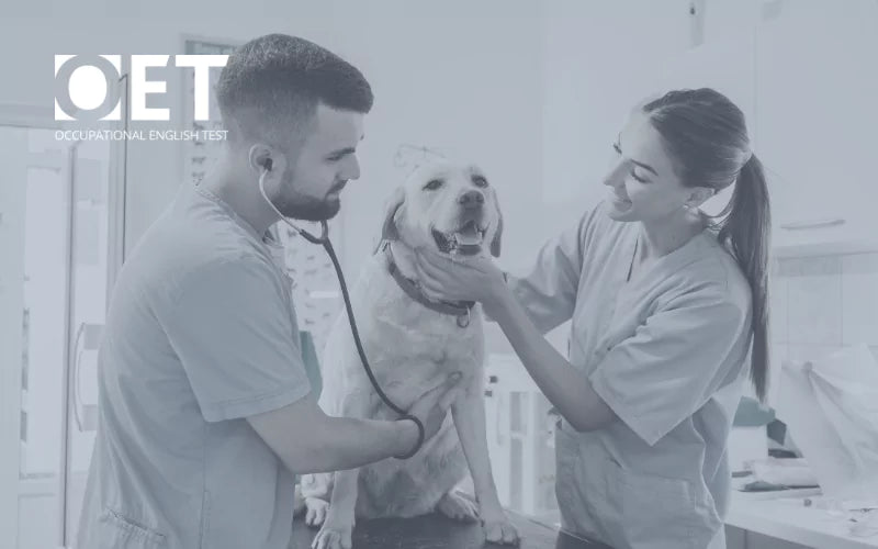 OET Veterinary Course Online Study – SET English
